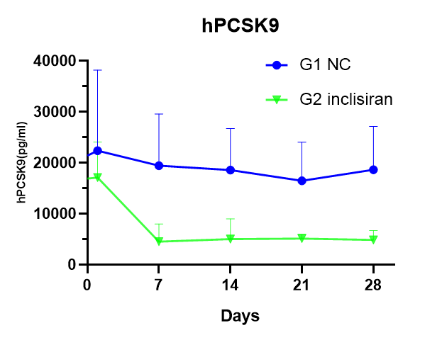 Preclinical research of small nucleic acid drugs - 维通达生物技术有限公司